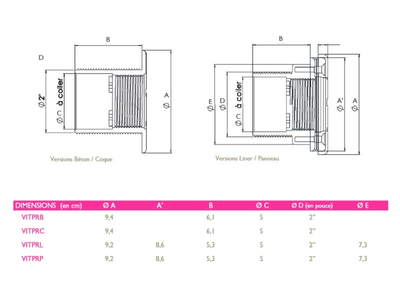 Prise balai Vitalia pour piscine